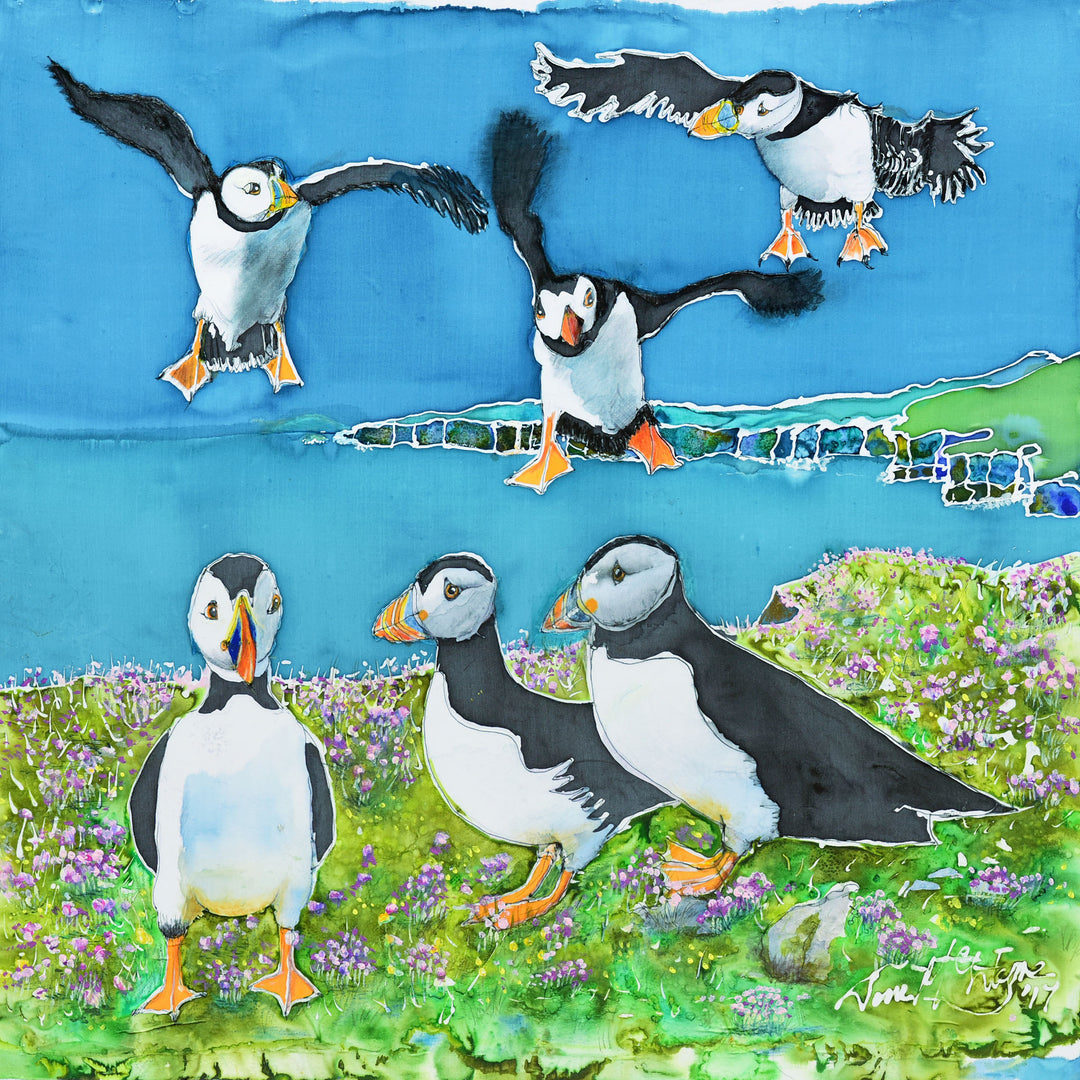 Prints from Silk – Dingle Artworks
