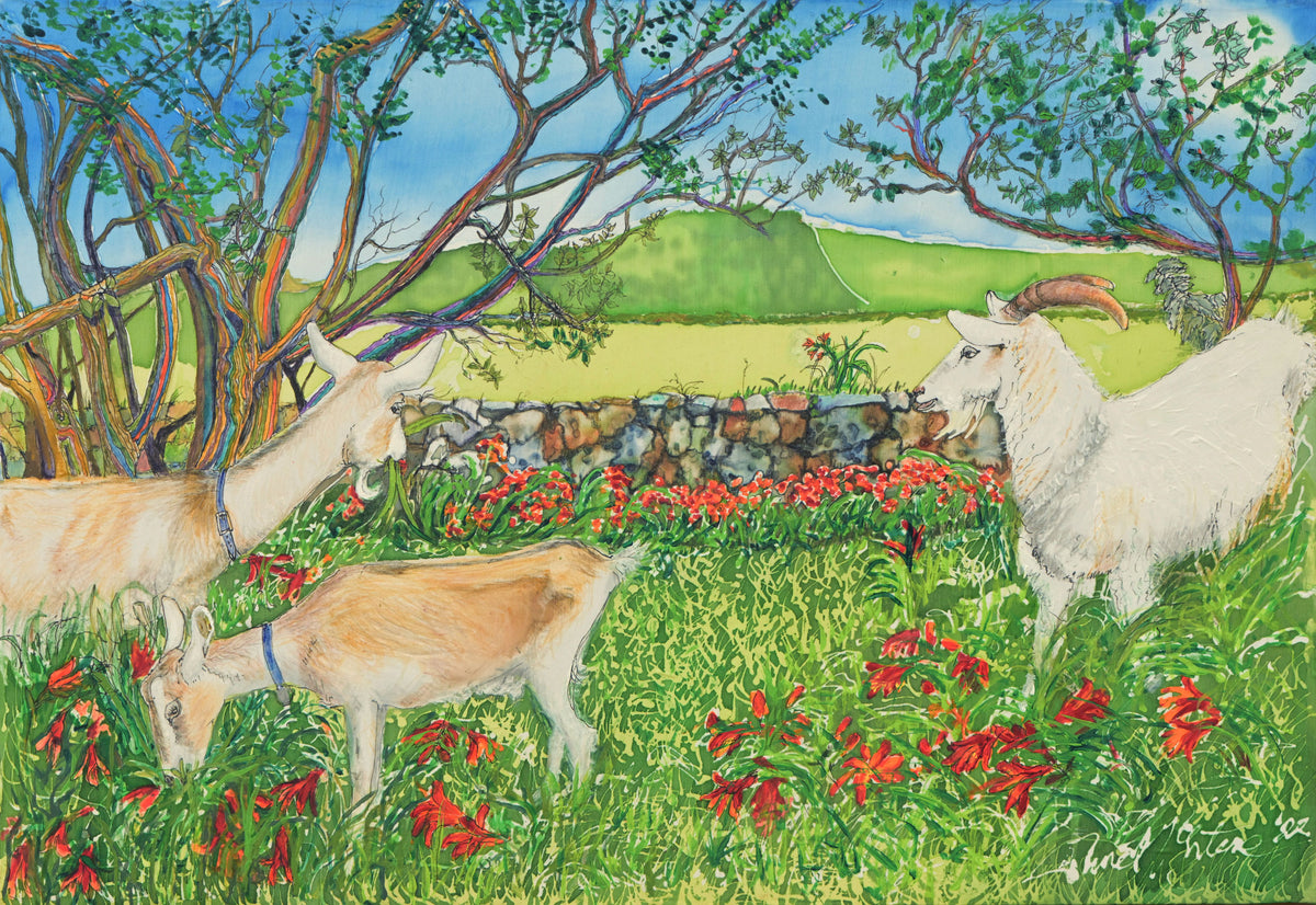 Goats in the Montbretia Limited Edition – Dingle Artworks