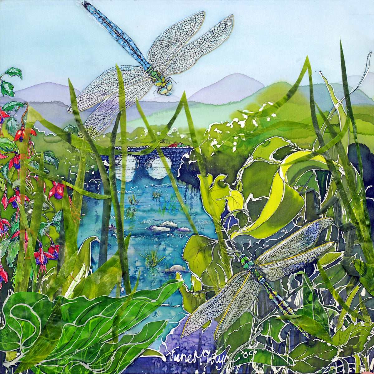 Dragonflies Limited Edition – Dingle Artworks